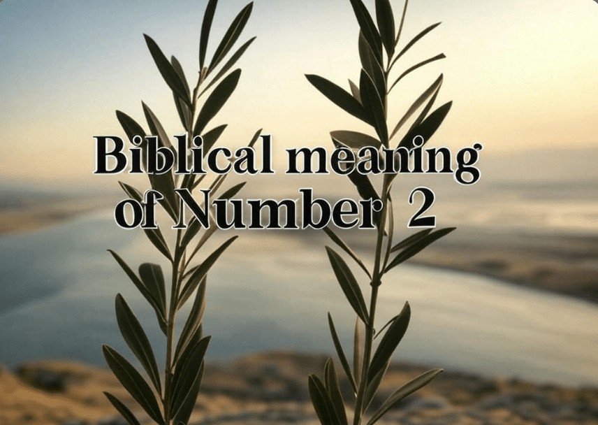 Biblical meaning of Number 2